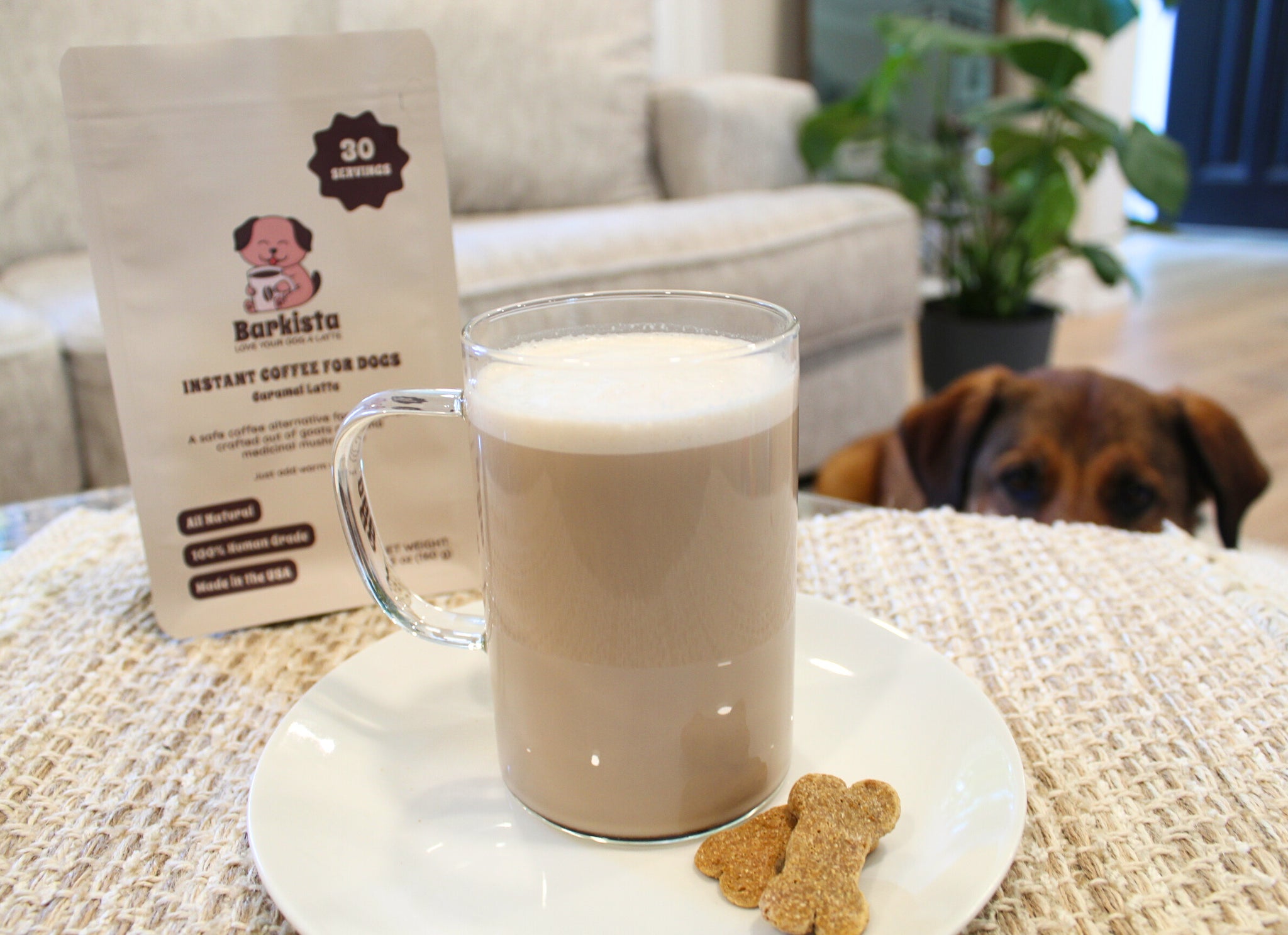 Caramel Latte Instant Dog Coffee – Barkista | Coffee for Dogs